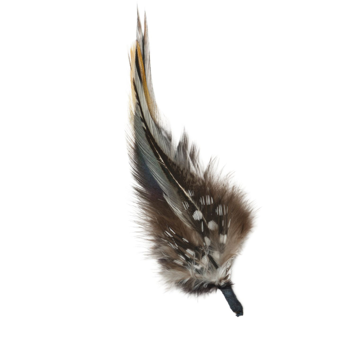 Exquisite Feather for Hats – Suits & More